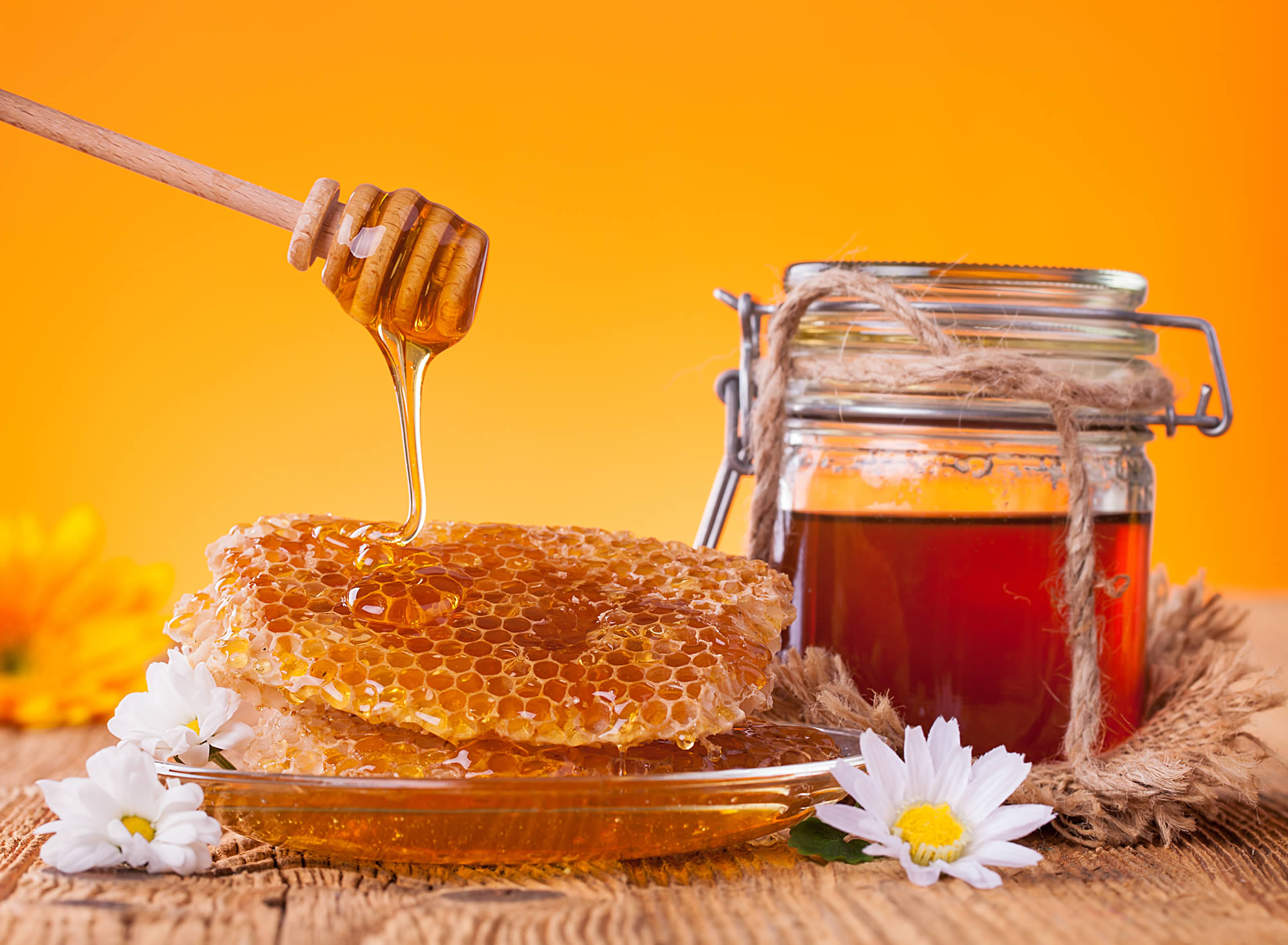 Μέλι - Honey (in Greek) - Authentic Greece